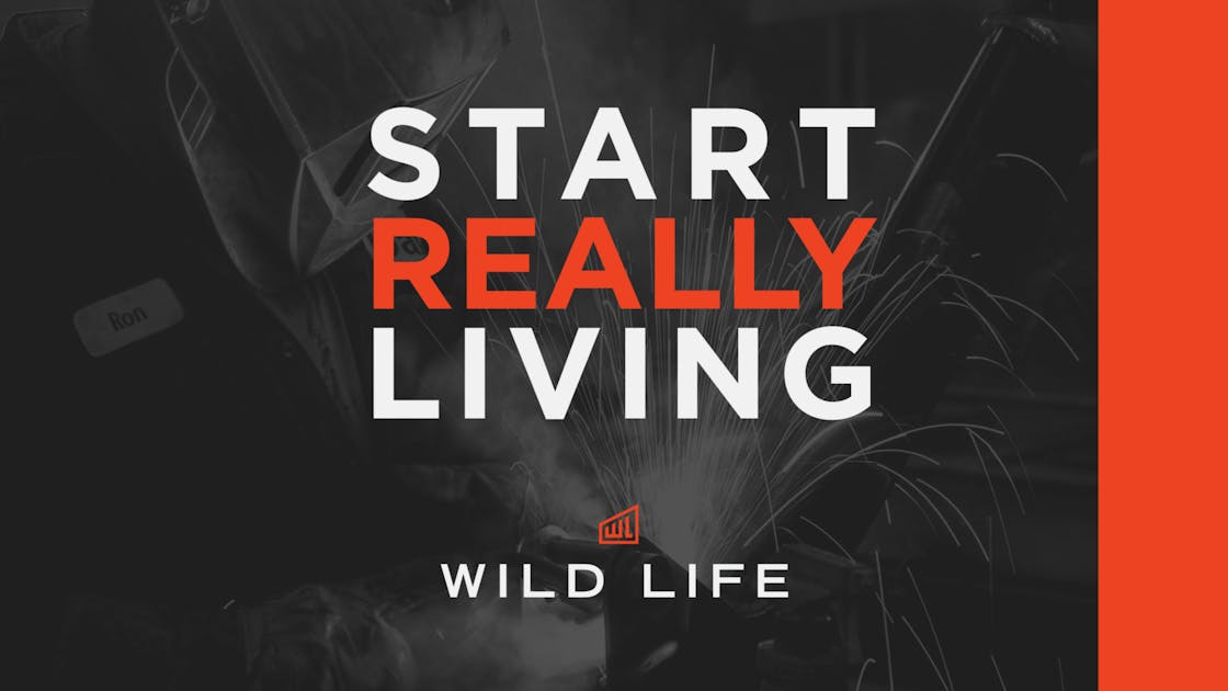 Wild Life — Start Really Living